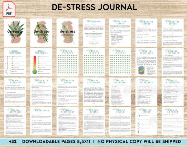 DBT Distress Tolerance Skills PDF, Stress Journal, DBT Distress ...
