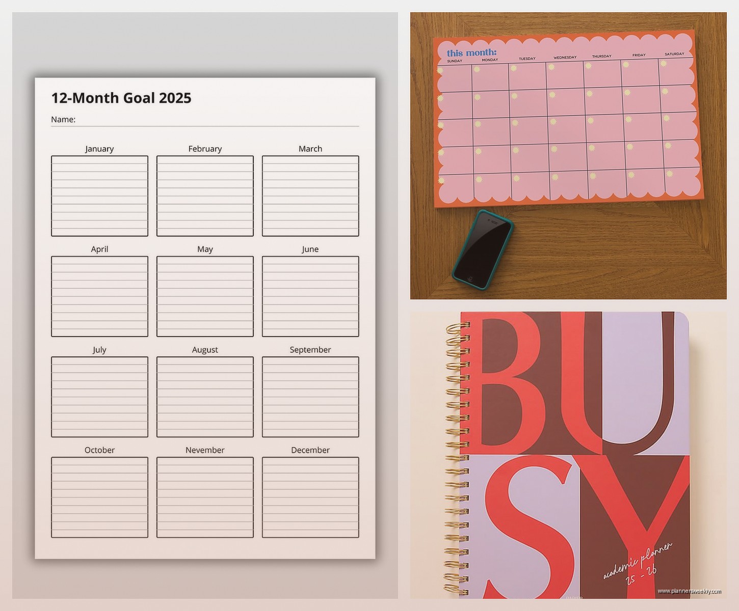 17 Month Planner: Extended Planning Solutions Guide - Planners weekly